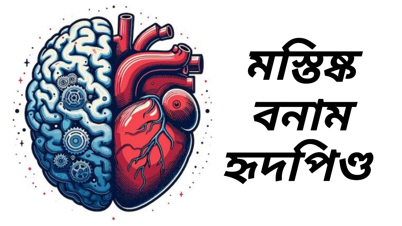 Heart Vs Brain: মানুষের হৃৎপিণ্ড ও মস্তিষ্কের মধ্যে কোনটি বেশি ...