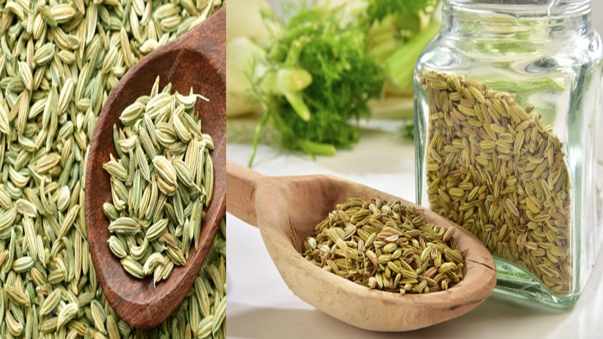 Health Benefits of Fennel Seeds: মৌরি অনেক রোগ থেকে মুক্তি দেয়। উপকার ...