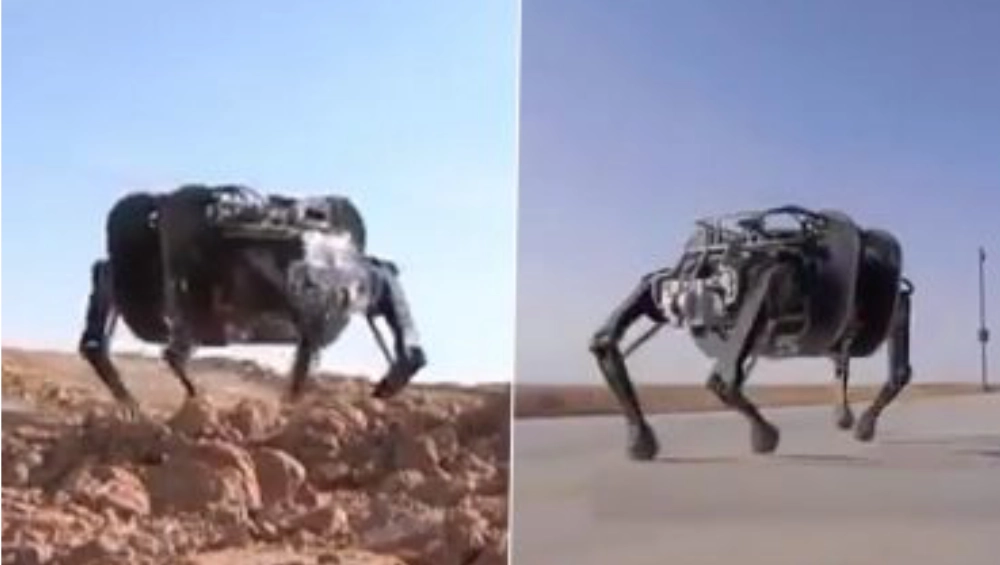 Viral: ৩৫০ পাউন্ড ওজন নিয়ে হেলায় এগিয়ে চলেছে মেকানিক্যাল ইয়াক ...