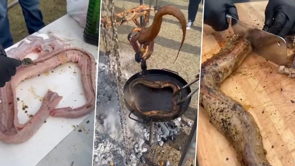 Snake Meat Video: আস্ত সাপের মাংস পুড়িয়ে রান্না, কেউ বলছেন 'সুস্বাদু ...