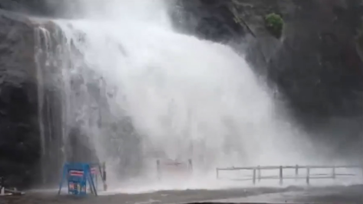 Old Courtallam Falls Video: পশ্চিমঘাটে প্রবল বৃষ্টিপাতের জেরে বন্যা ...
