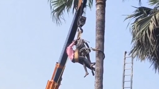 Heart Attack on Palm Tree Video: রস পাড়তে উঠে তাল গাছে 'হার্ট অ্যাটাক ...